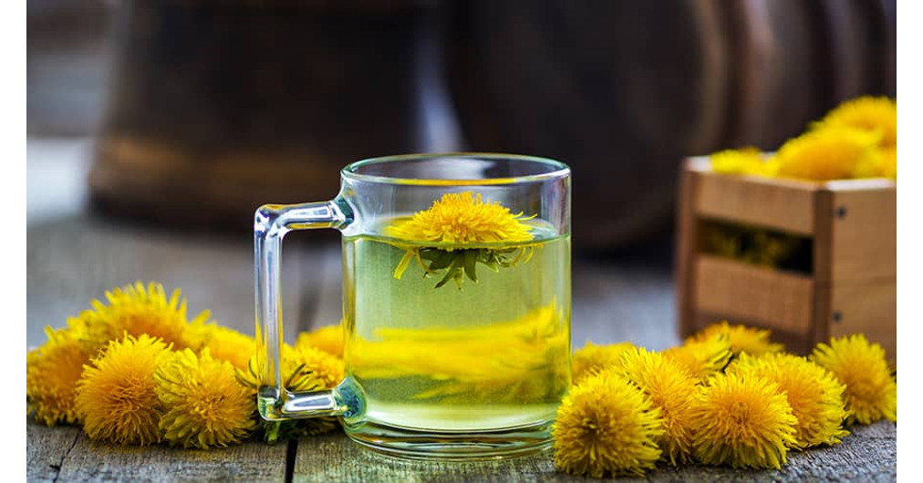 A gyermekláncfű teát könnyedén elkészítheted te is! | HillVital